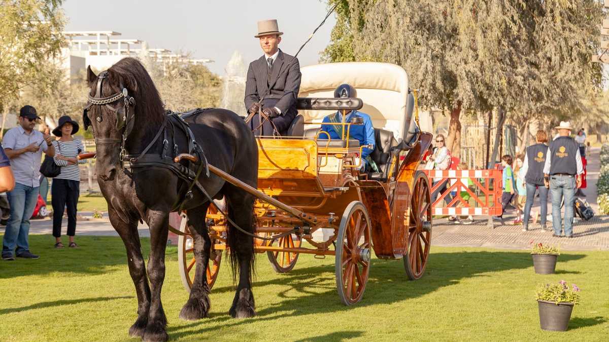 7 Must-See Attractions at The Sustainable City Horse Show 2024! - Wow ...