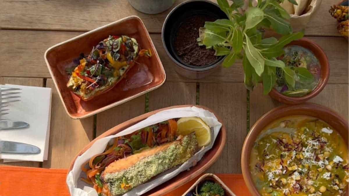 DoubleTree by Hilton Dubai – Jumeirah Beach Unveils "Brunch in Bloom ...