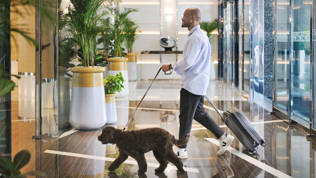 Marriott Resort Palm Jumeirah Becomes First Pet-Friendly Hotel in Dubai ...